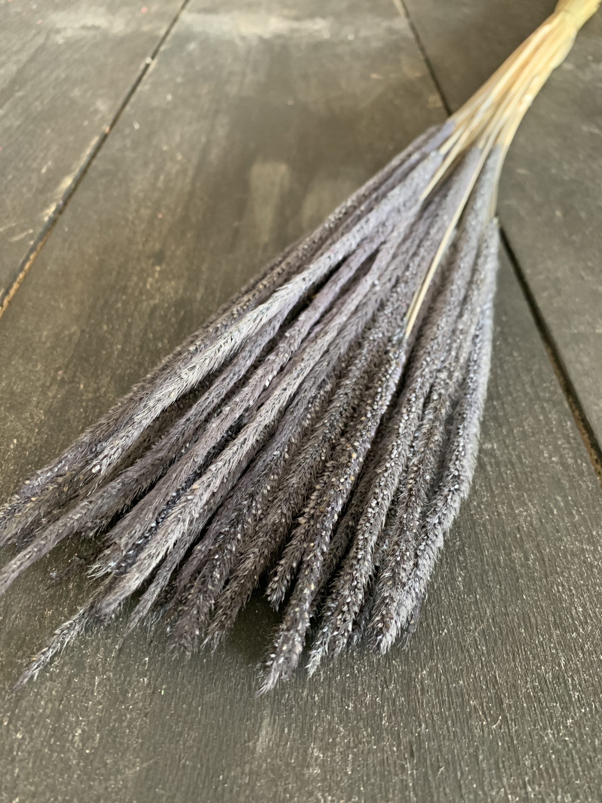 Pampas - Strået alle prater om - Tørket Pampas - Stavern Blomstermakeri